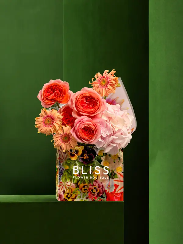 CORAL TUILE - BLISS MINI POSIE BAG | Bliss UAE